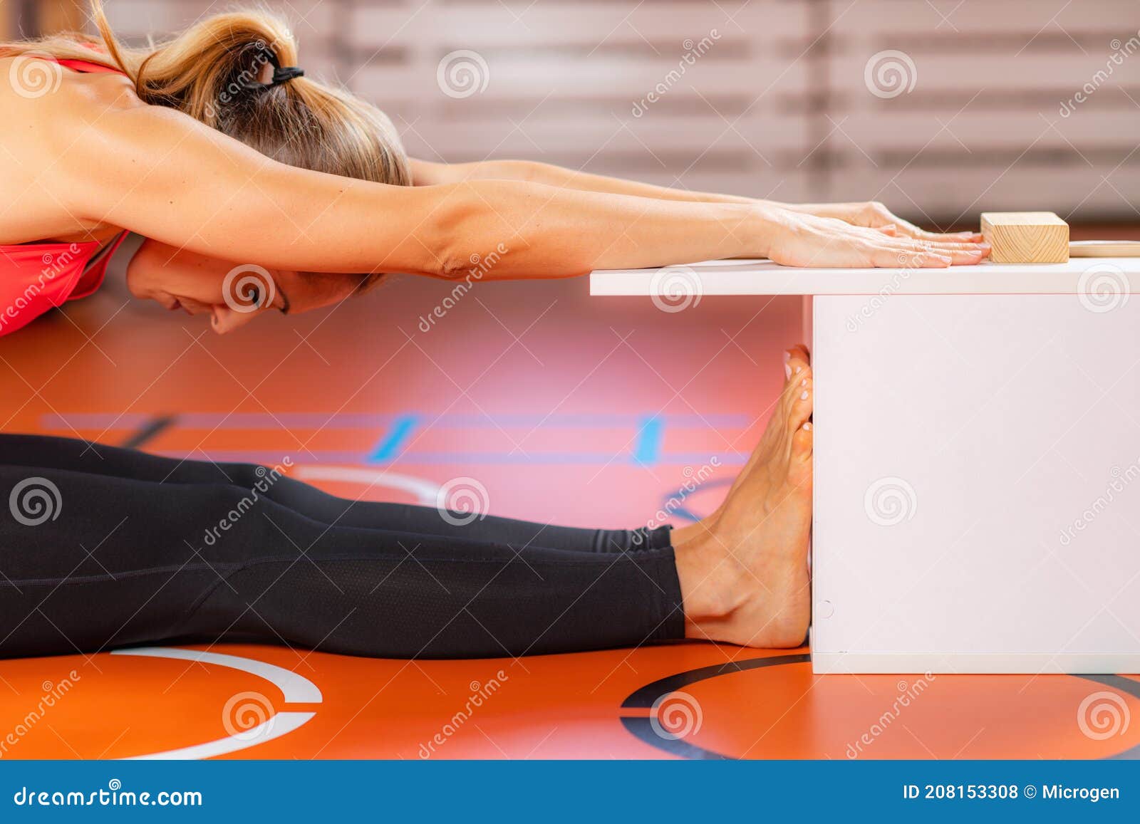 V Sit And Reach Test