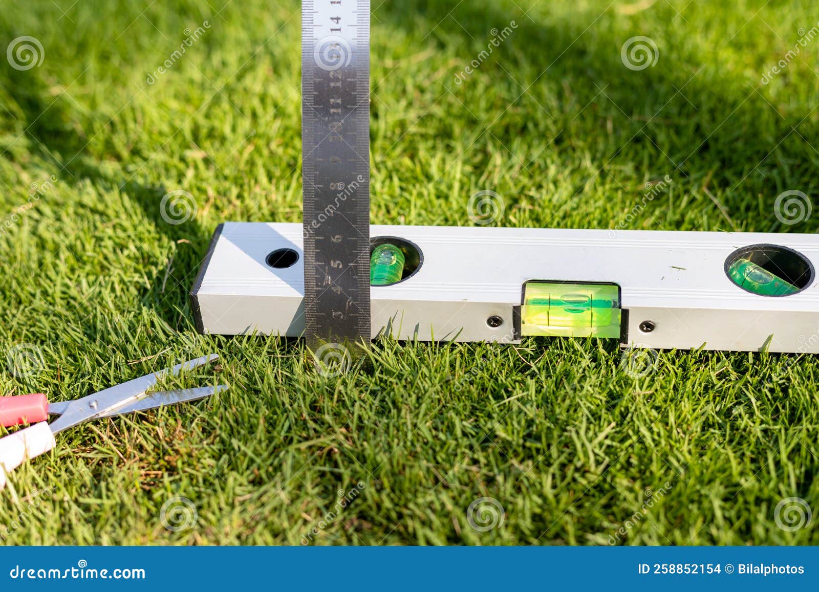 Measuring Grass with a Ruler and Levelling with a Spirit Level Tool ...