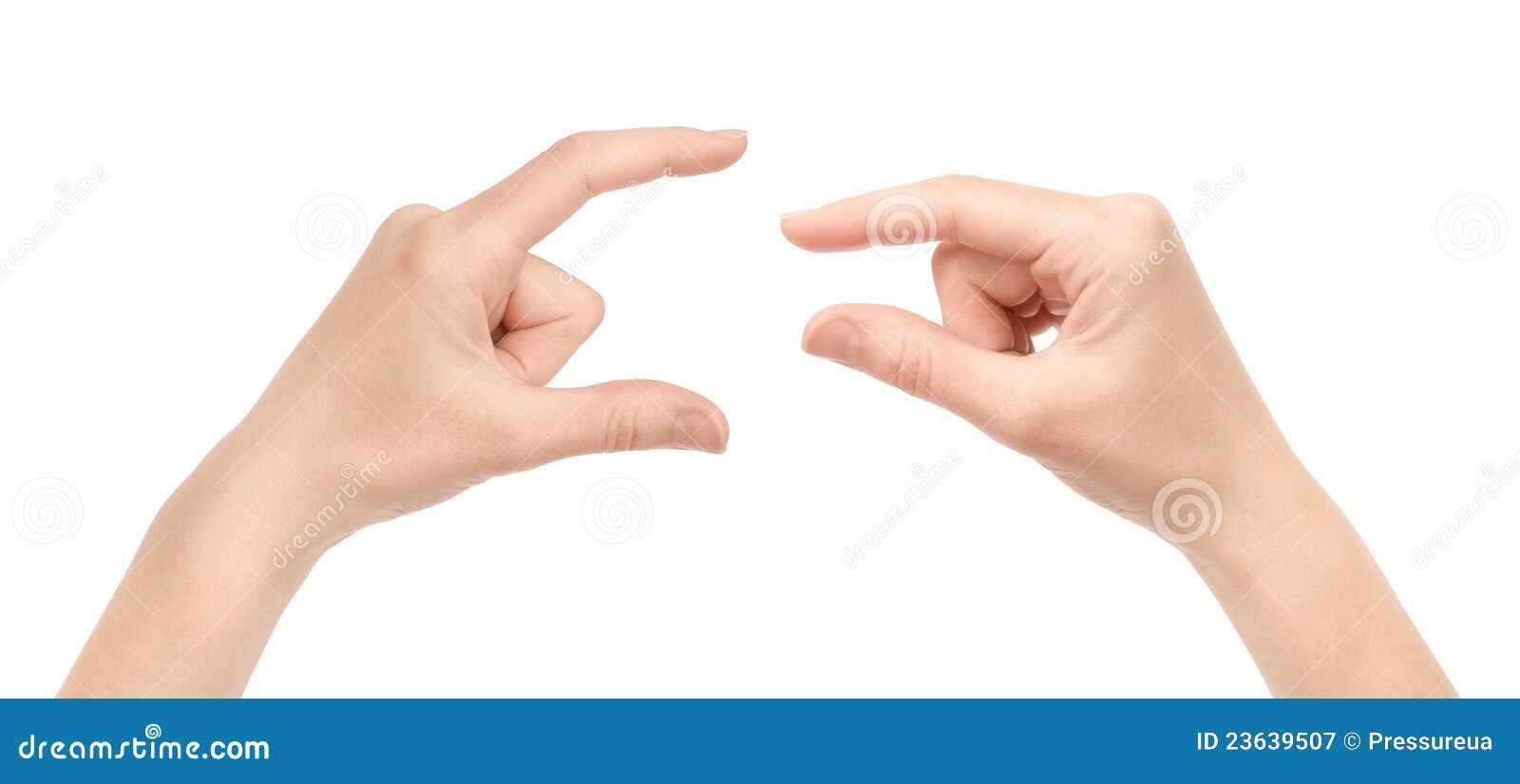 Measuring Hands Isolated stock image. Image of copy, measuring - 23639507