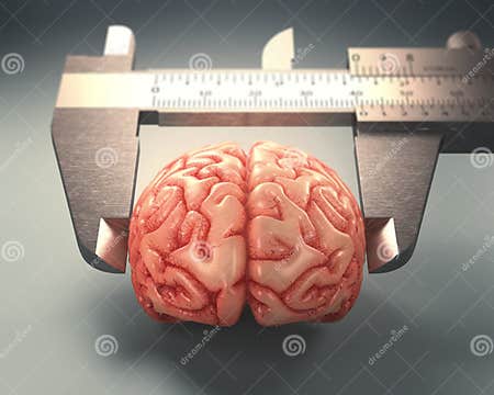 Measuring the Human Intelligence Stock Photo - Image of measurement ...