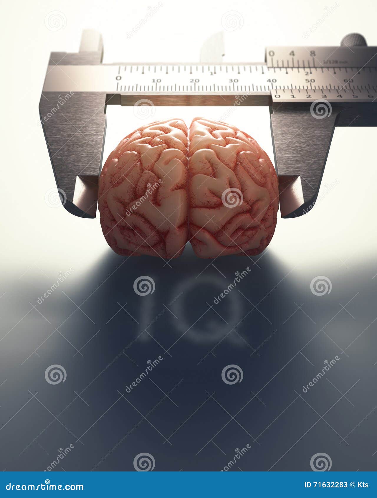 Measuring the Human Intelligence Stock Illustration - Illustration of ...