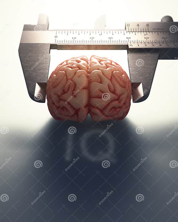 Measuring the Human Intelligence Stock Illustration - Illustration of ...