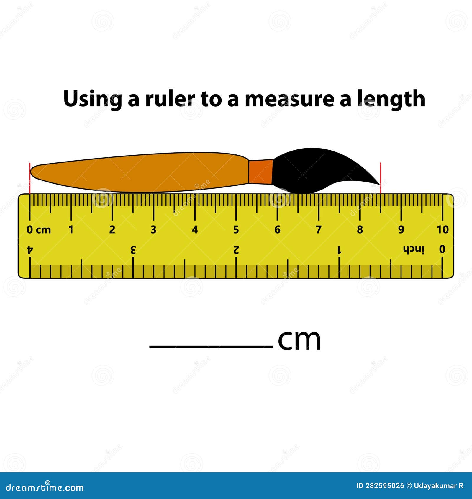 Measuring Length in Centimeters with the Ruler. Education Developing ...