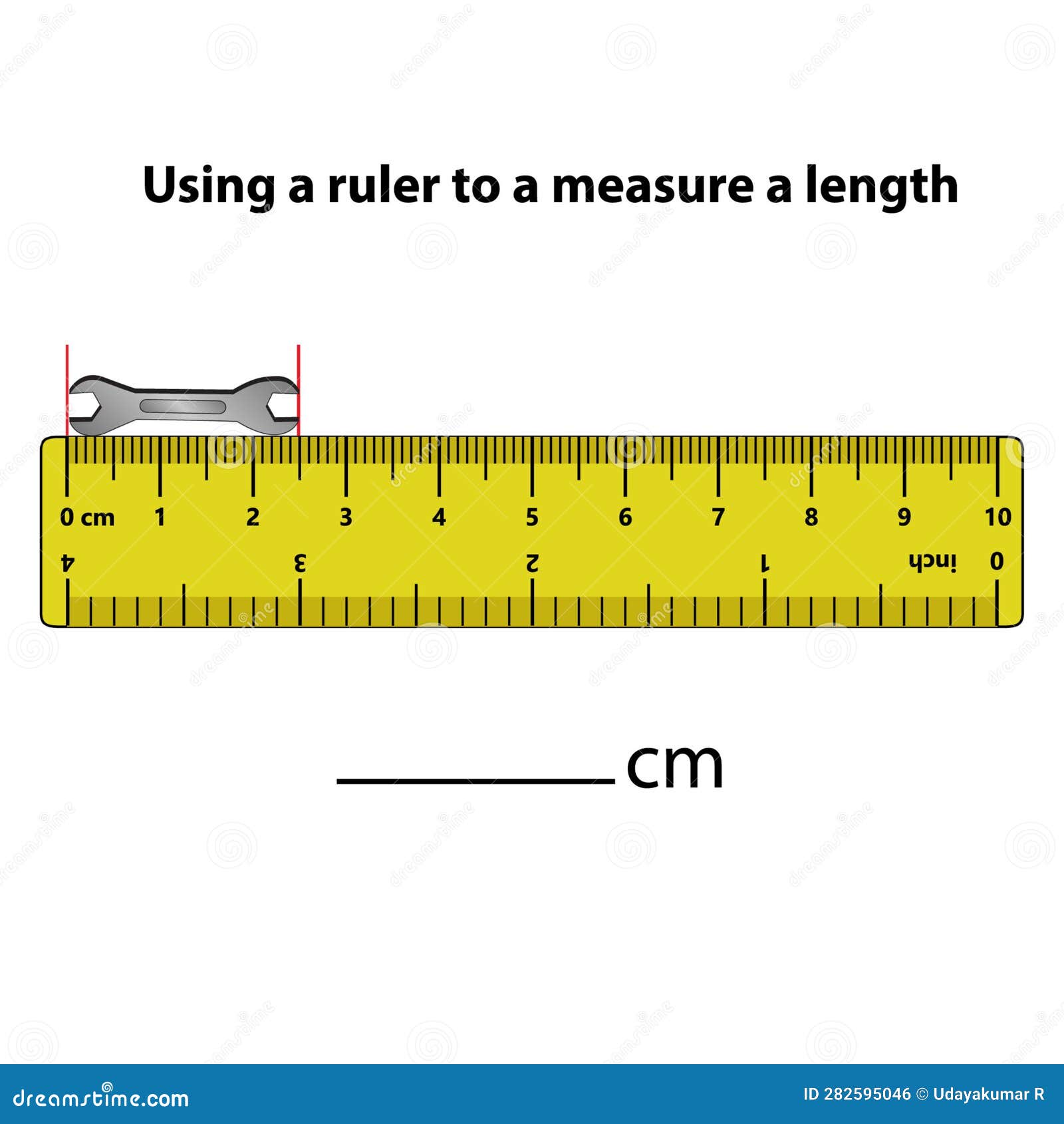 Measuring Length in Centimeters with the Ruler. Education Developing ...