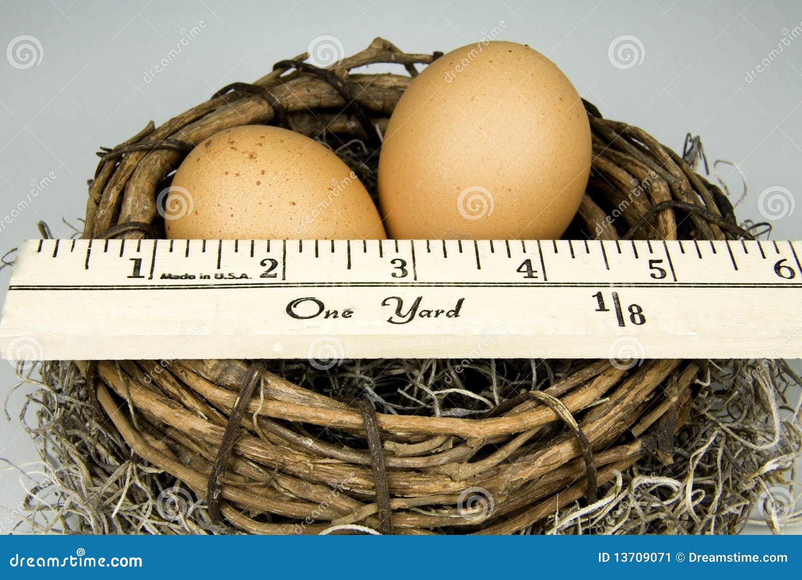 Measuring Nest Egg stock image. Image of amount, possessions - 13709071