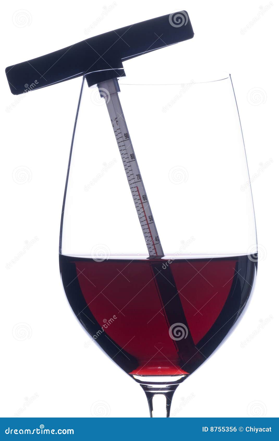 Measuring Red Wine Temperature with a Thermometer Stock Photo - Image ...