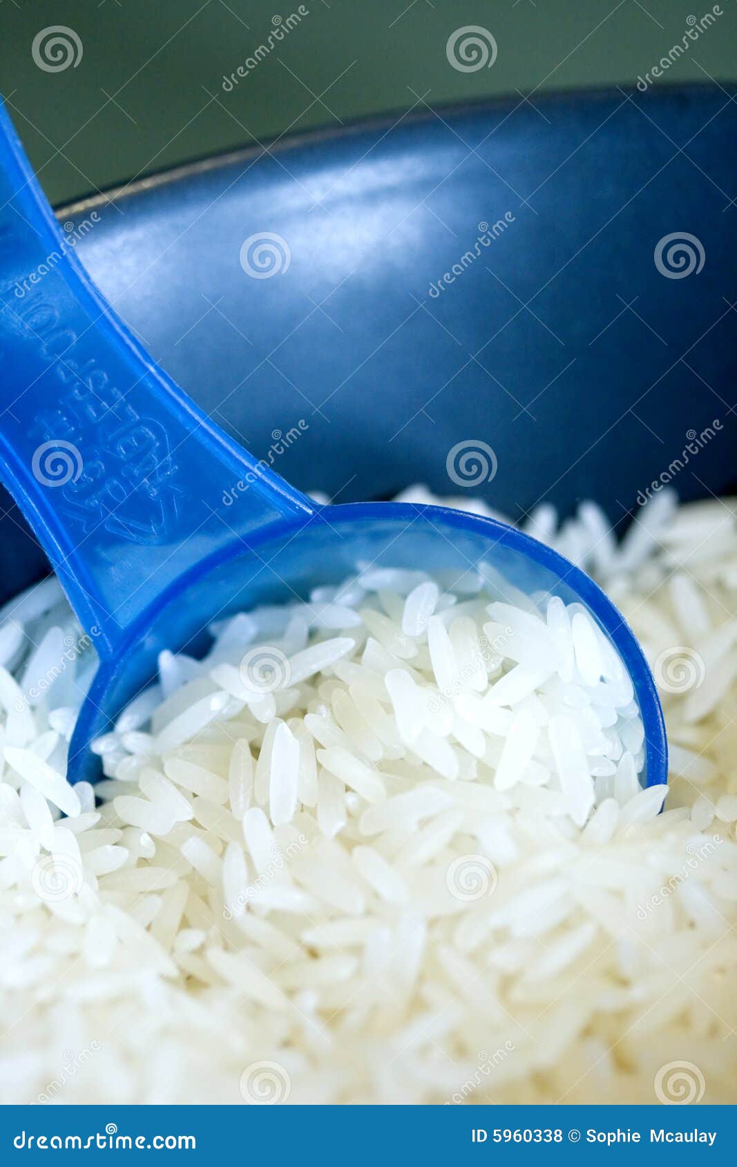 Measuring rice stock photo. Image of crops, granual, basmati - 5960338