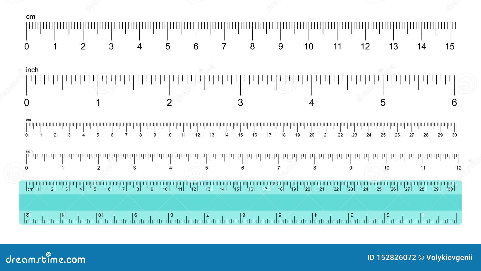 Set Of Rulers, Inches And Centimeters. Vector Illustration. Isolated On ...