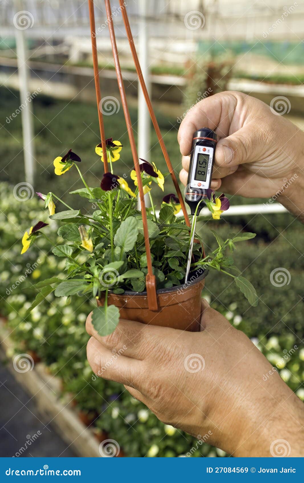 Soil Temperature In The Fahrenheit Scale, Moisture Content ...