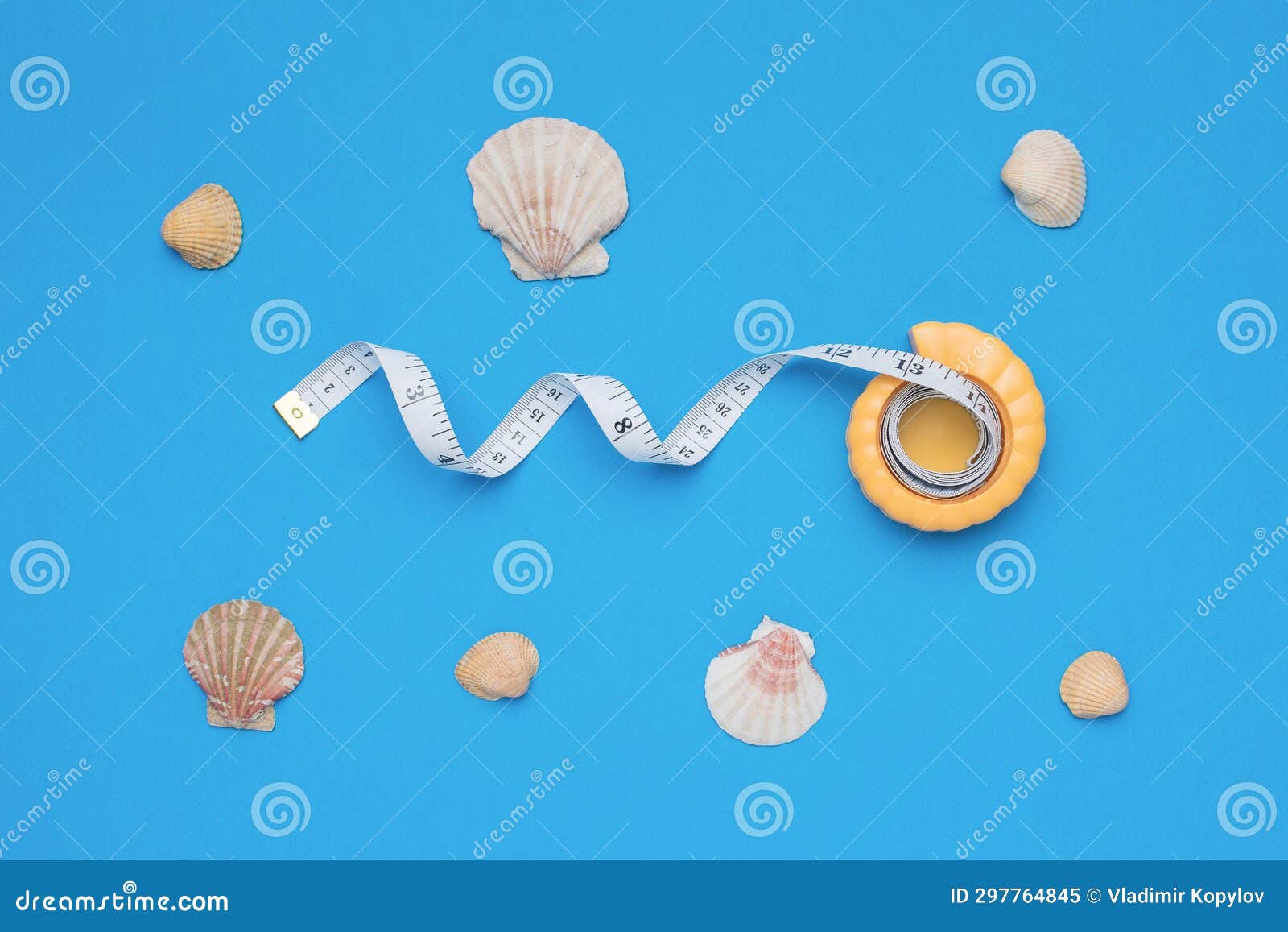 Measuring Tape in a Shell Case and Seashells on a Blue Background Stock ...