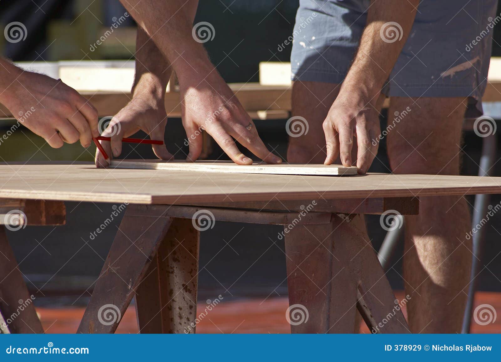 Measuring Up stock image. Image of pressing, horse, marking - 378929