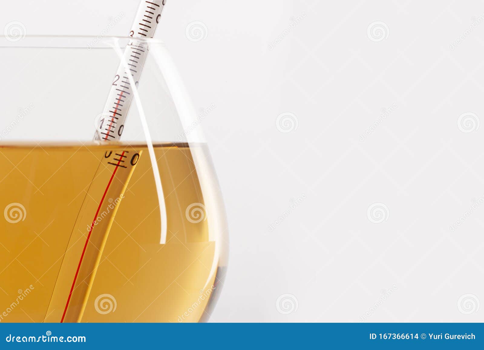 Measuring White Wine Temperature with a Wine Thermometer Stock Photo ...
