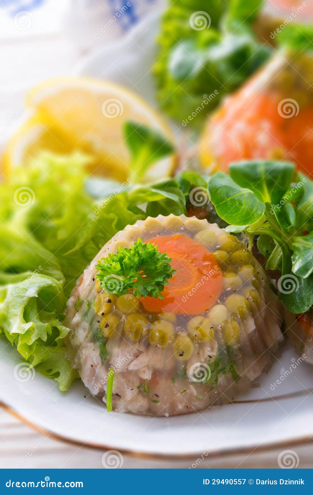 Meat aspic stock image. Image of lunch, diet, cheese - 29490557
