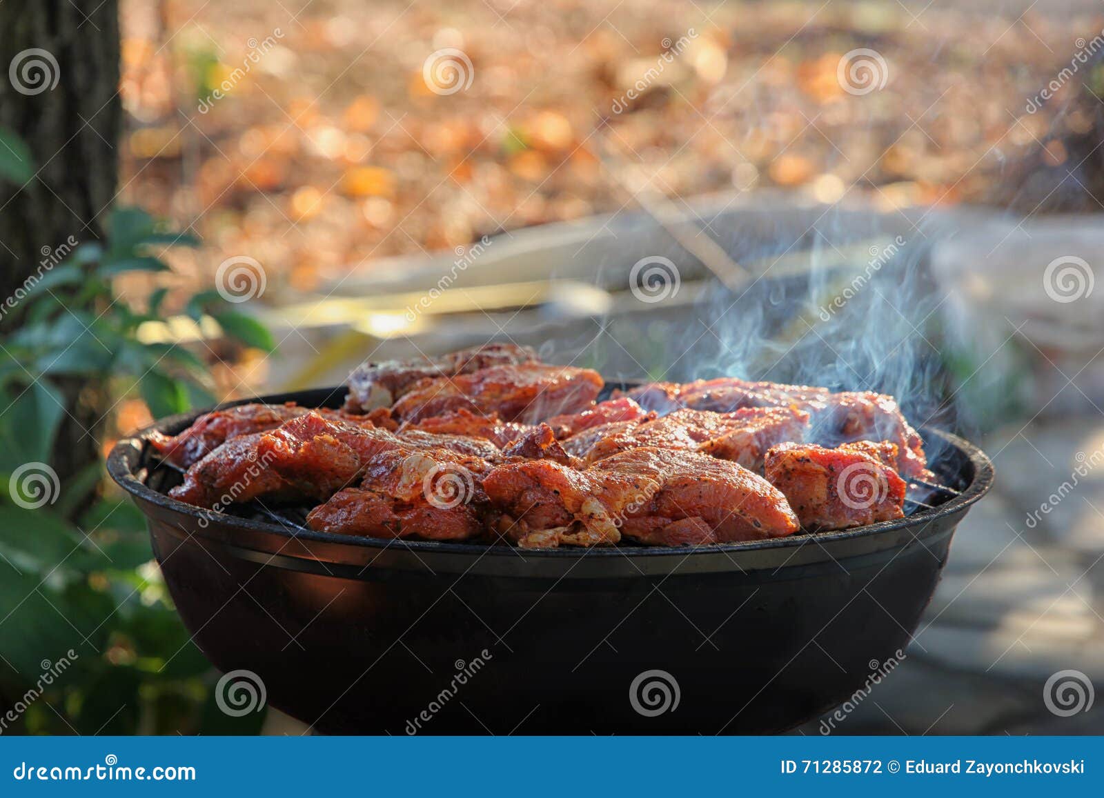Meat on barbecue stock photo. Image of concept, food - 71285872