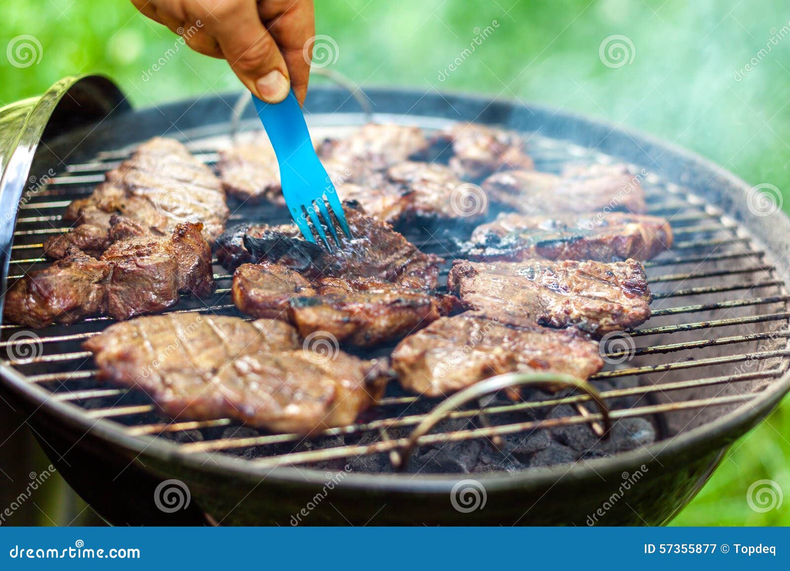 Meat barbecue stock image. Image of macro, green, food - 57355877