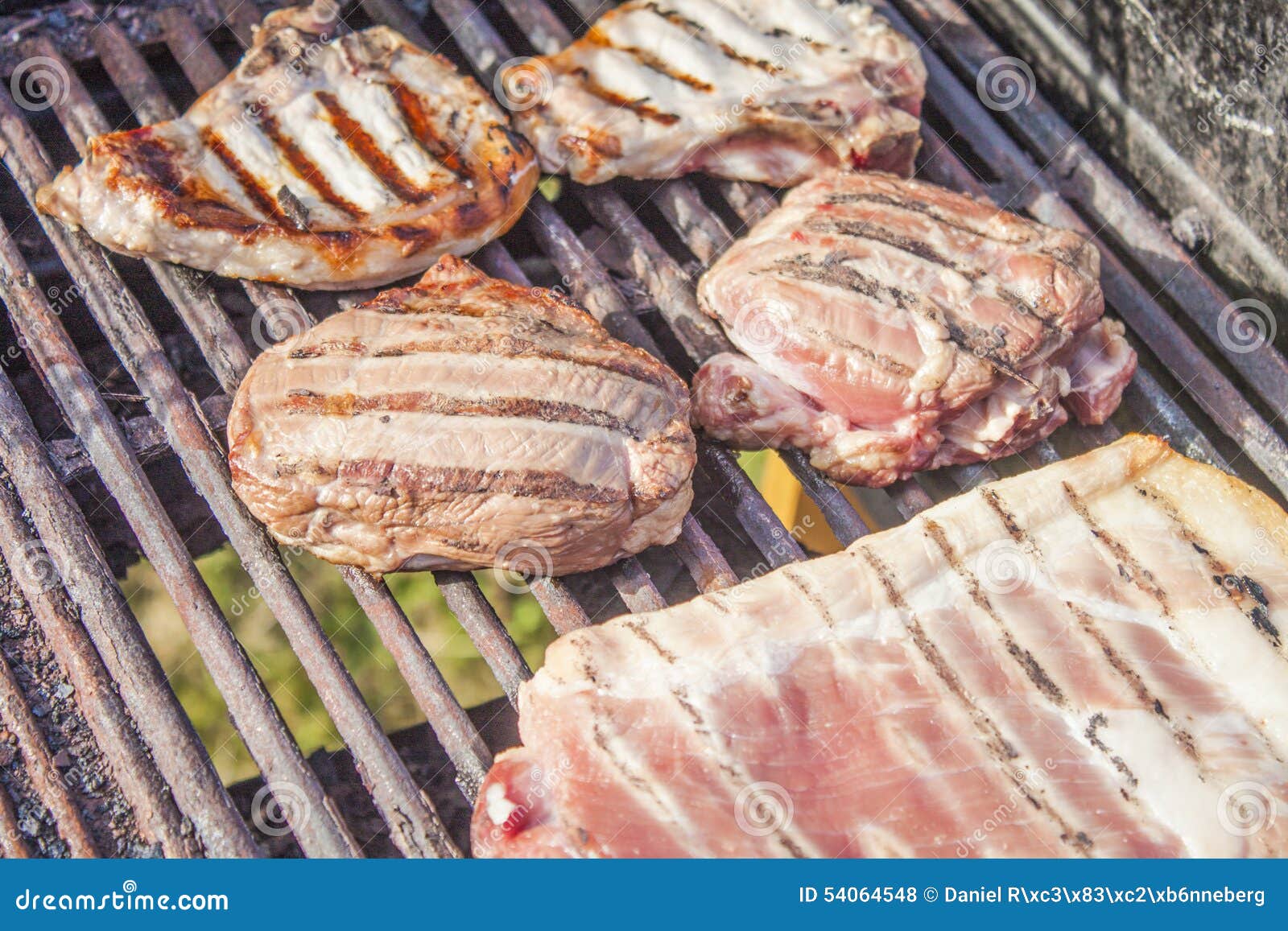 Meat on a barbeque stock photo. Image of pork, cook, tasty - 54064548