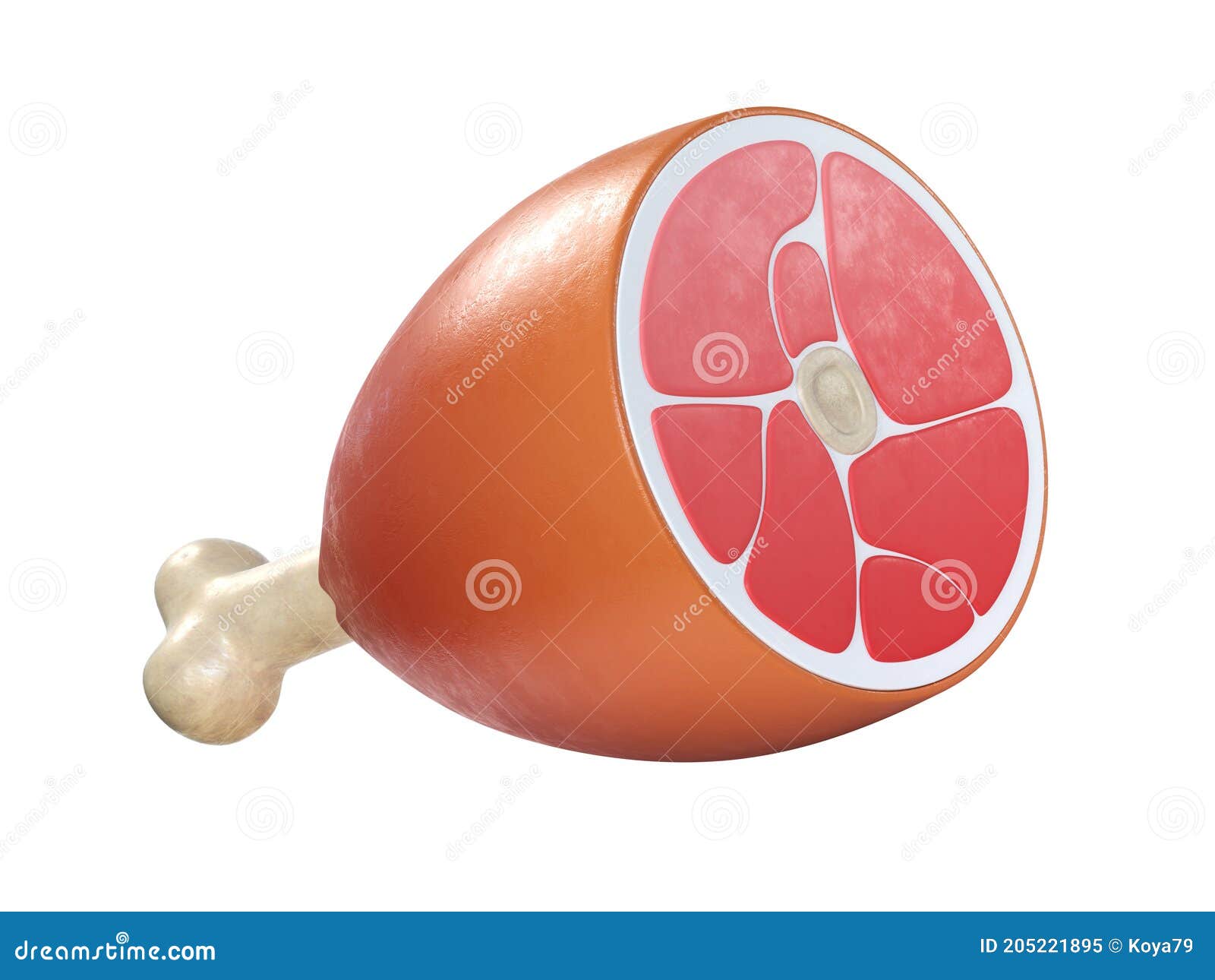 Shin Bone And Calf Bone Cartoon Vector | CartoonDealer.com #31308495