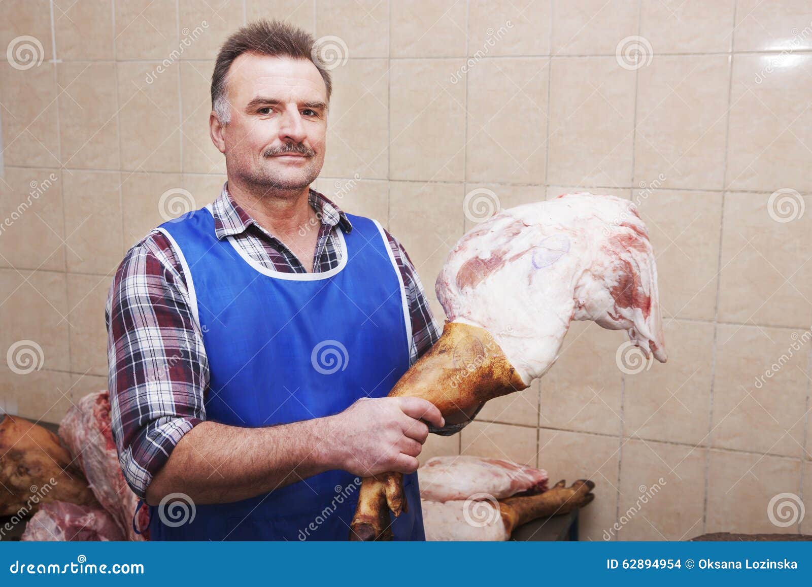 Meat and butcher stock photo. Image of food, safety, healthy - 62894954
