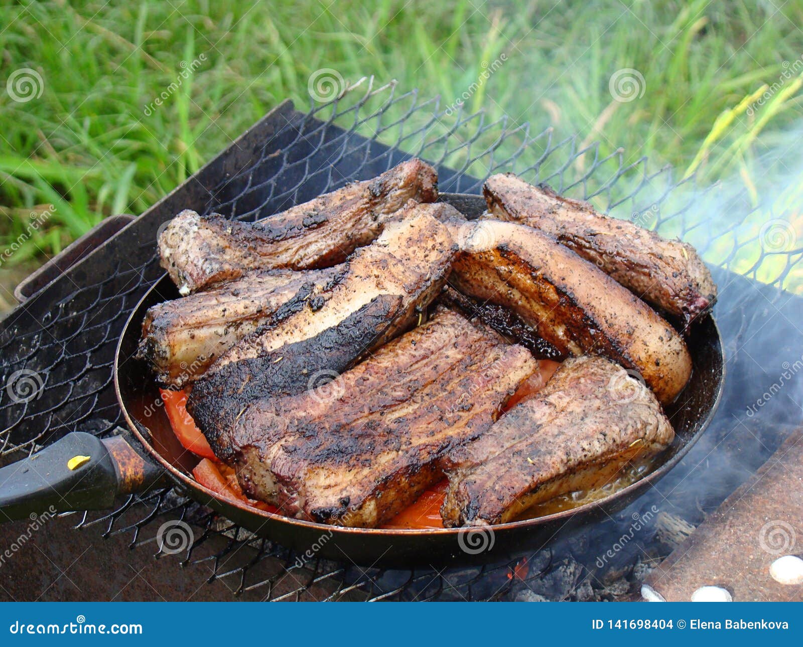 Meat Cooked on a Fire in Nature Stock Photo - Image of food, roast ...
