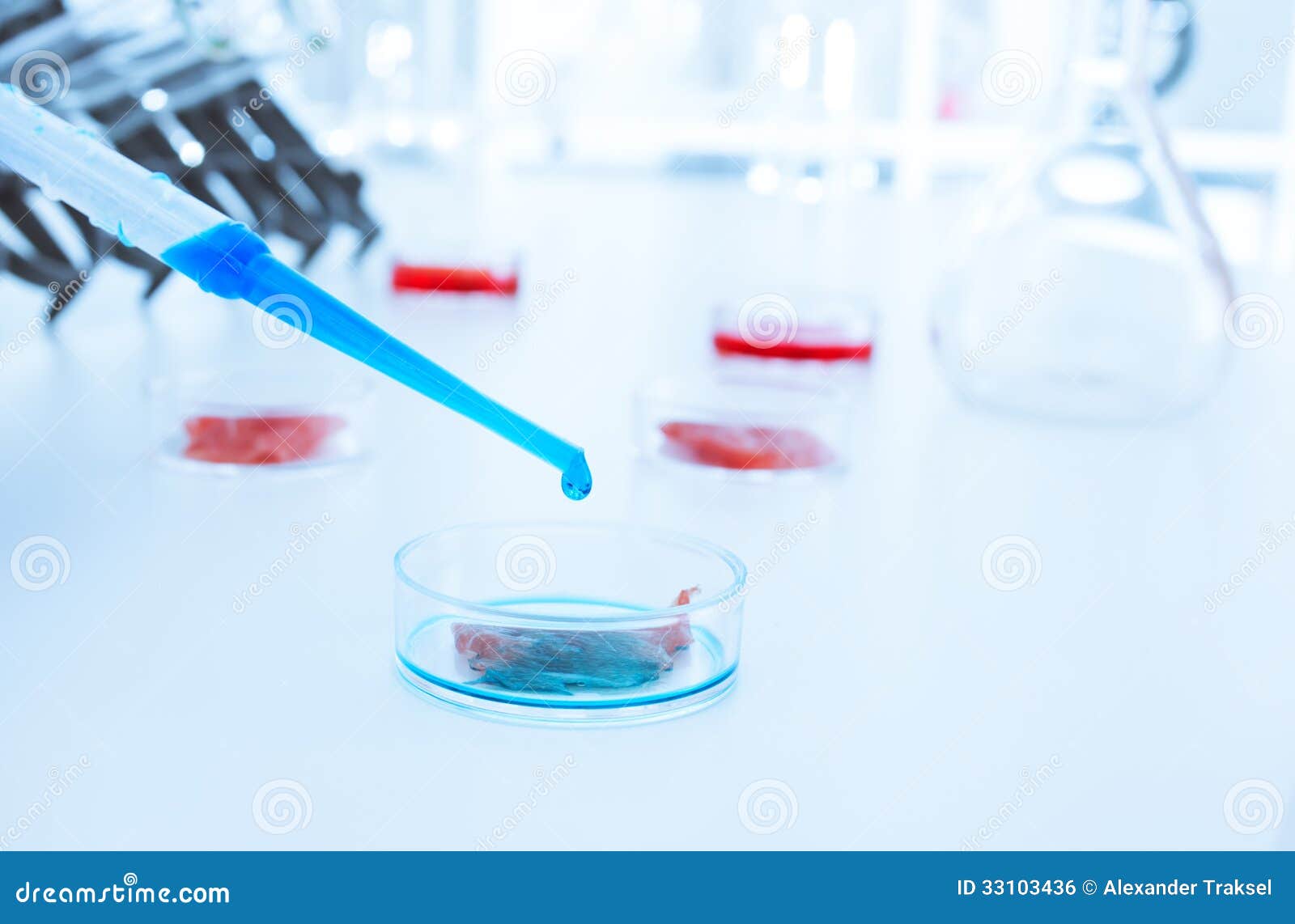 Meat Cultured in Laboratory Conditions.lab Stock Photo - Image of ...