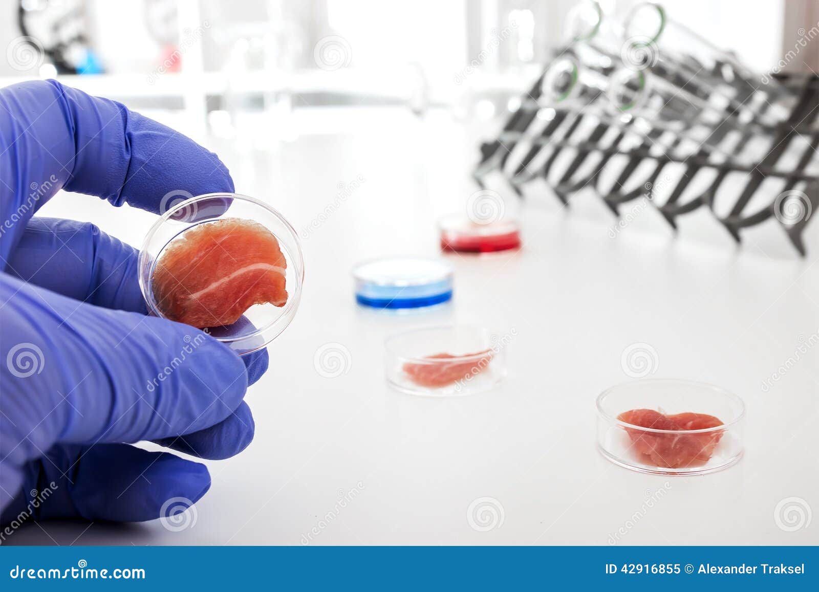 Meat Cultured in Laboratory Stock Image - Image of sample, analysis ...