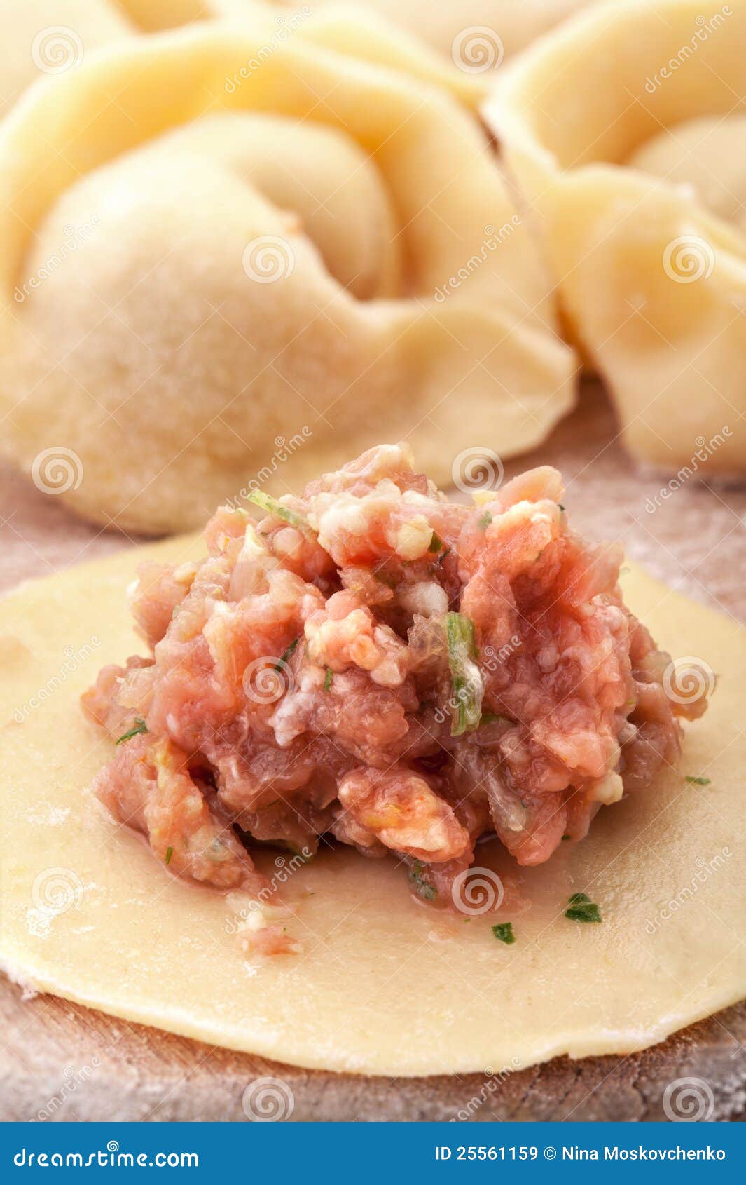 Meat dumplings stock image. Image of national, dumplings - 25561159