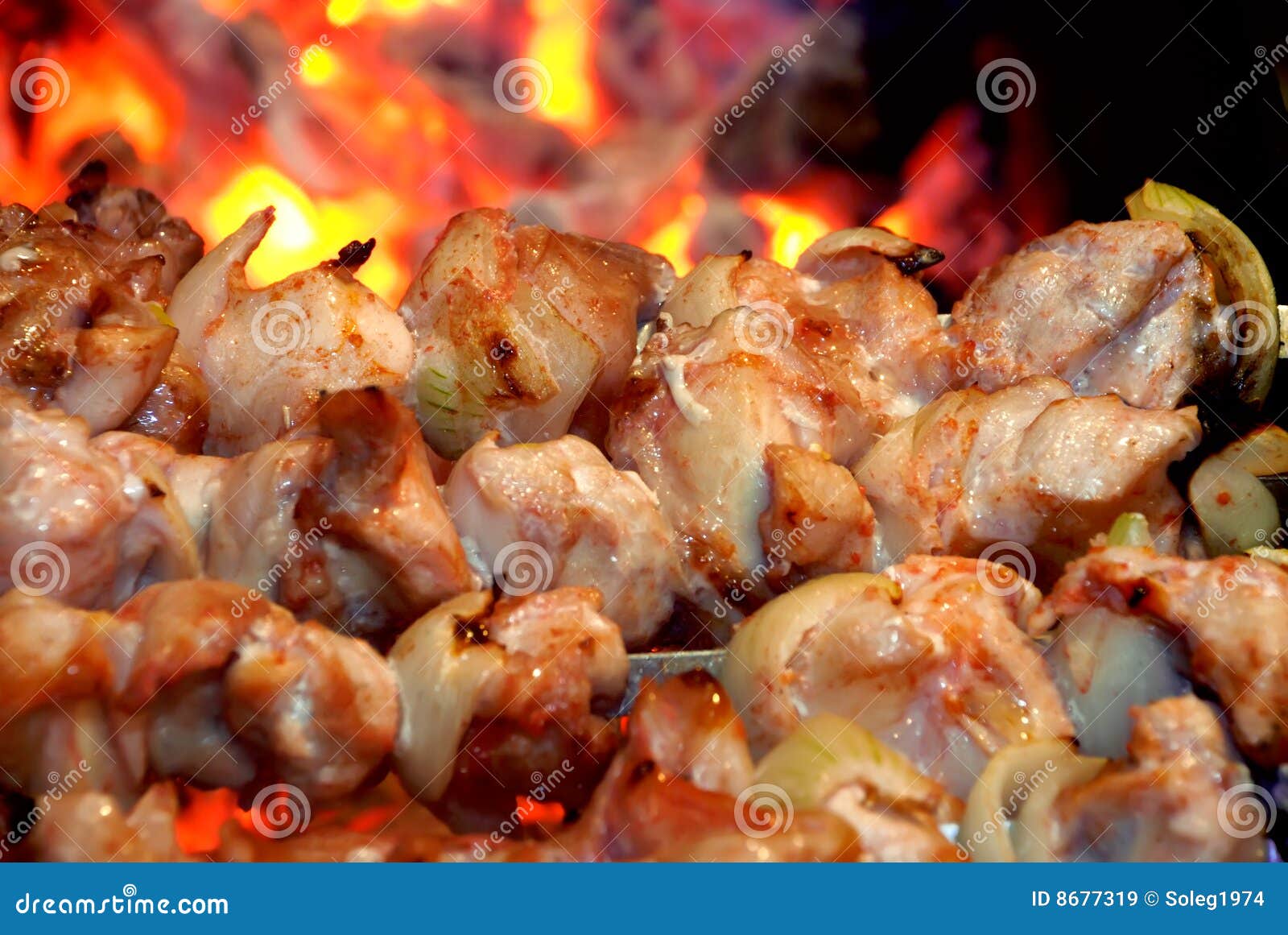 Meat is fried on fire stock image. Image of pork, picnic - 8677319