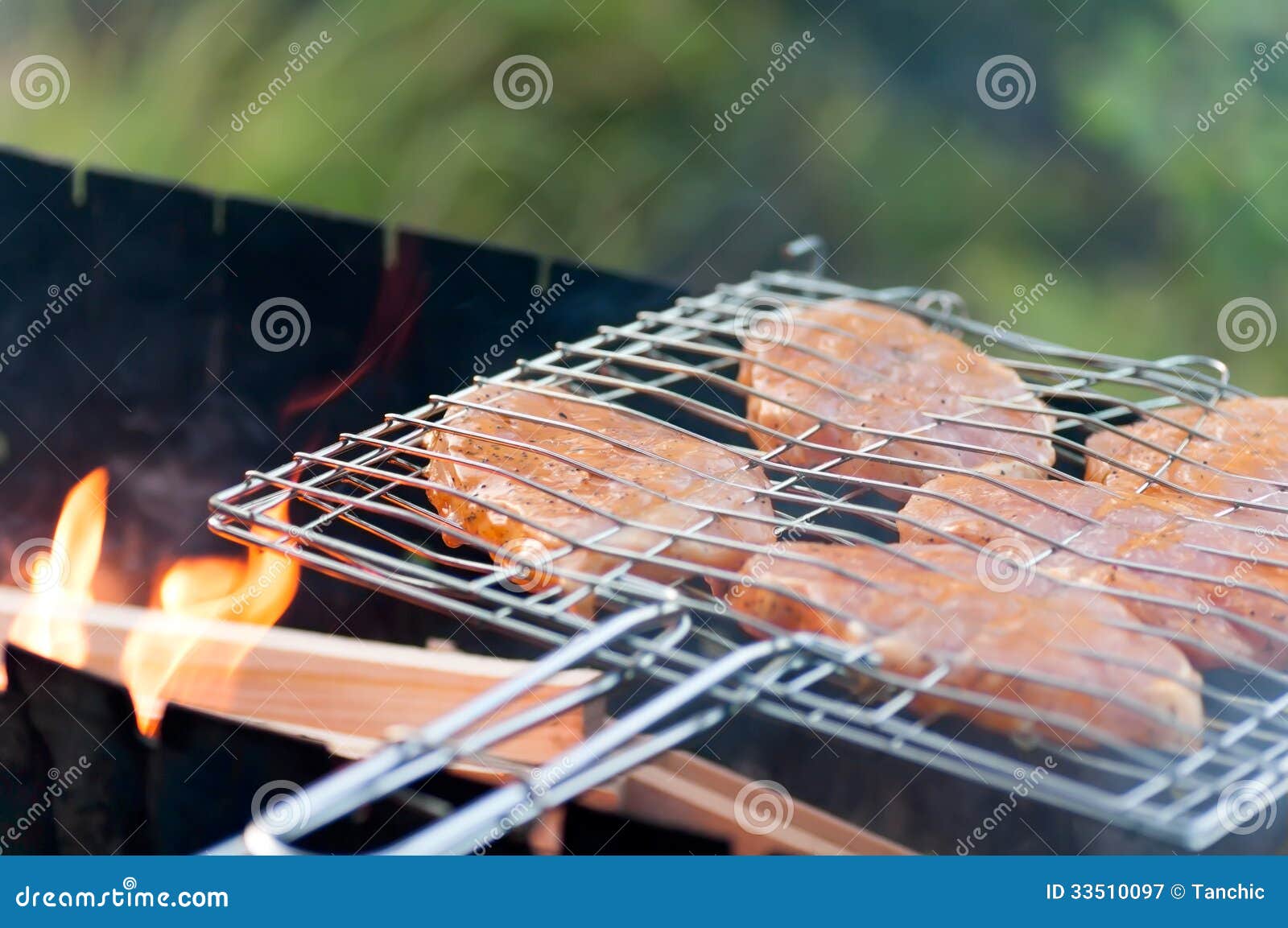 Meat fried on the grill stock image. Image of roasted - 33510097