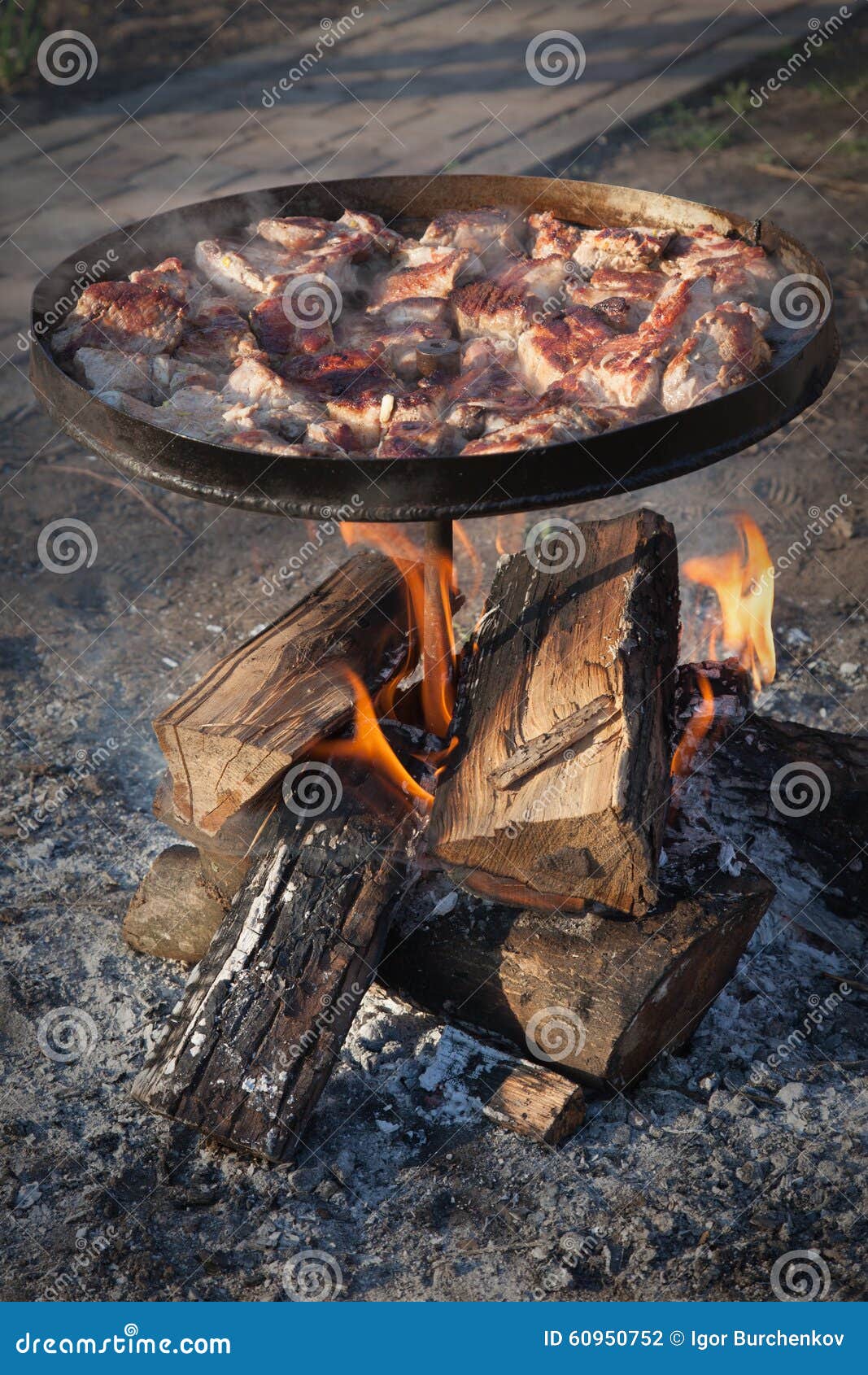 Meat, Fried Over an Open Fire Stock Photo - Image of grille, grilled ...