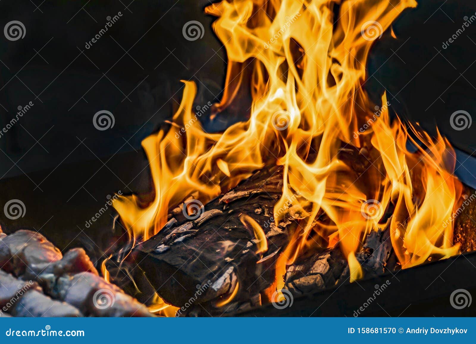 The Meat is Fried Over an Open Fire, a Weekend Barbecue. Flame Outdoors ...