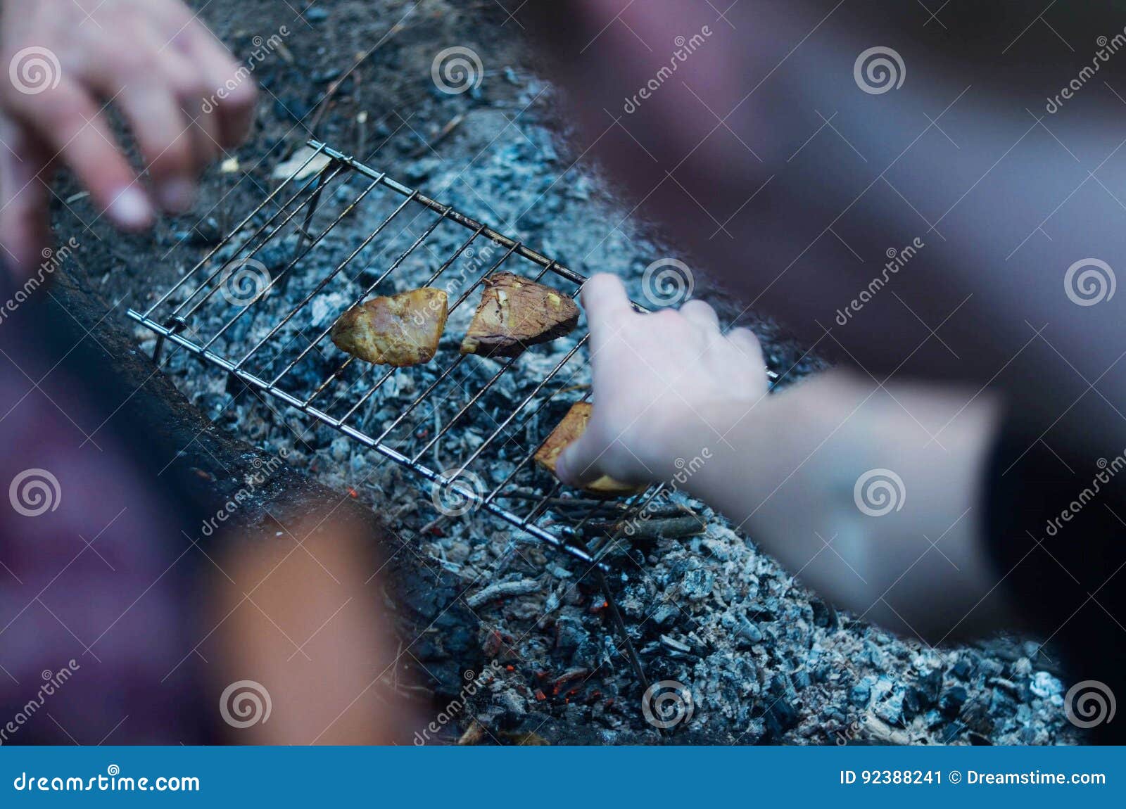 Meat on the Grill in the Forest Stock Image - Image of barbecue, food ...