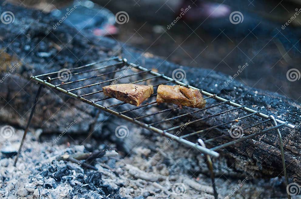 Meat on the Grill in the Forest Stock Image - Image of blue, coal: 92388277
