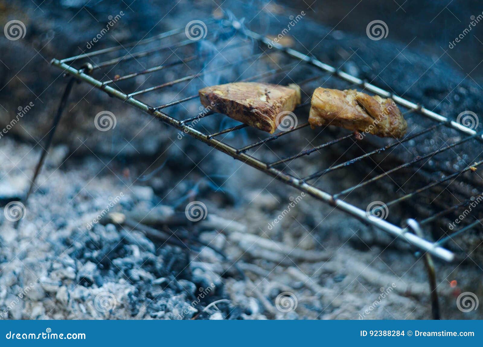 Meat on the Grill in the Forest Stock Photo - Image of meat, food: 92388284
