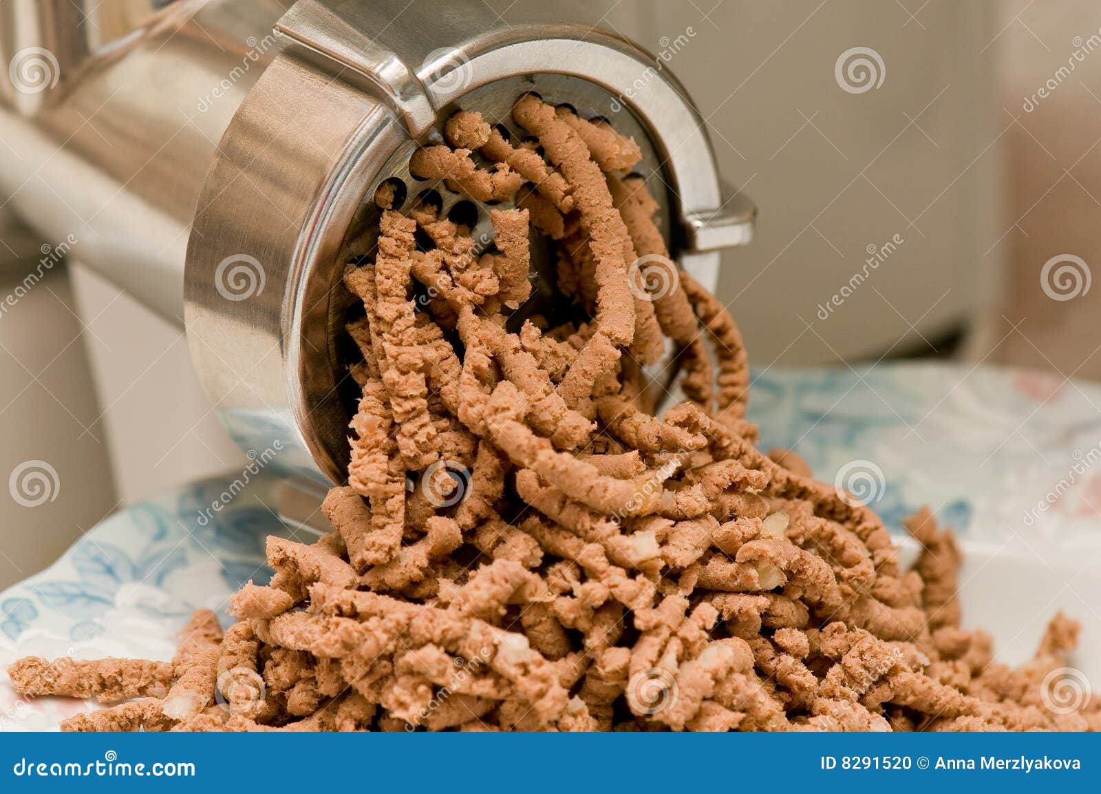 Meat Grinder & Minced Meat Stock Photo - Image of mixer, tool: 8291520