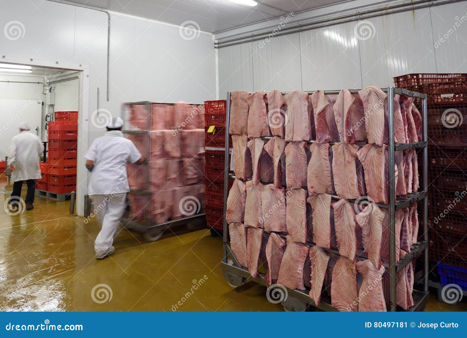 Meat Industry processing stock image. Image of delicatessen - 80497181