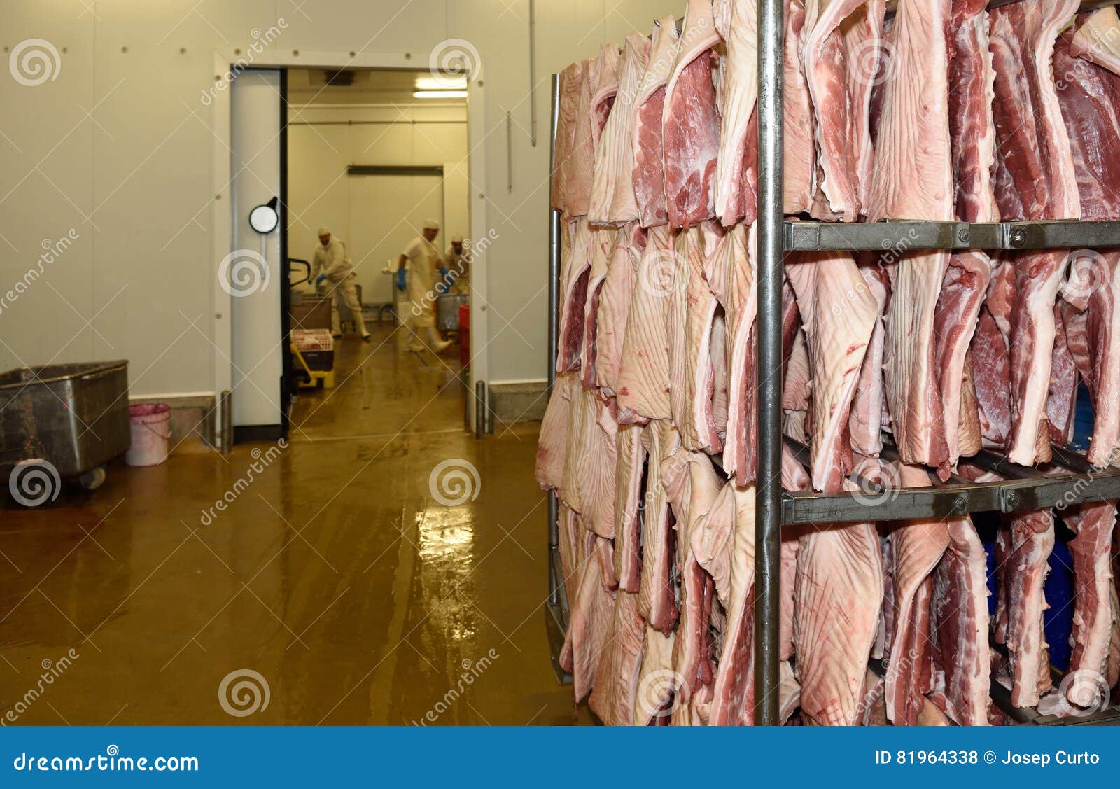 Meat Industry Processing Pork Stock Photo - Image of workers, pork ...