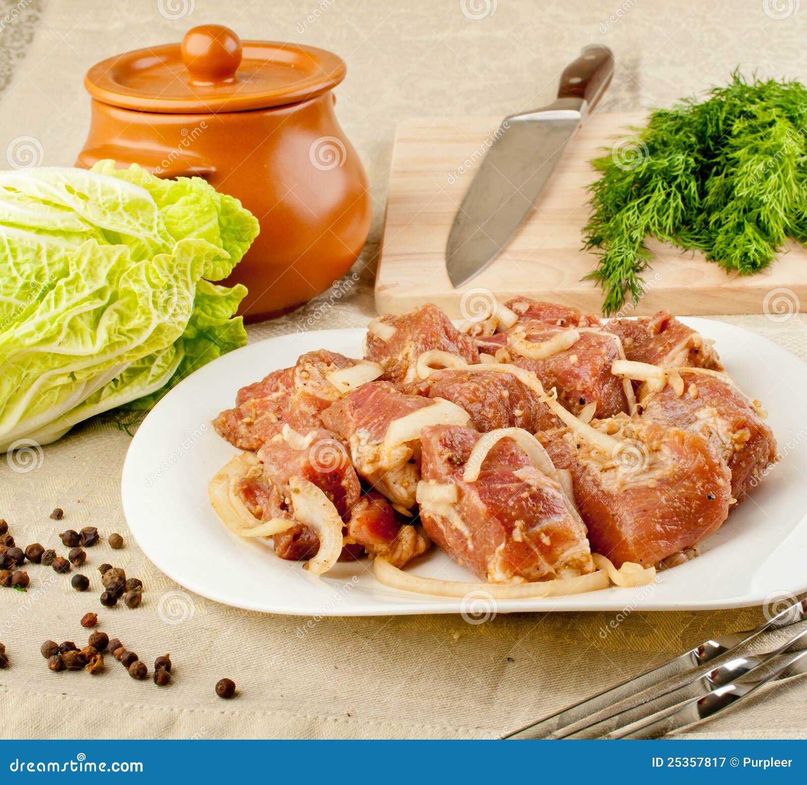 Meat in marinade stock image. Image of marrows, fennel - 25357817