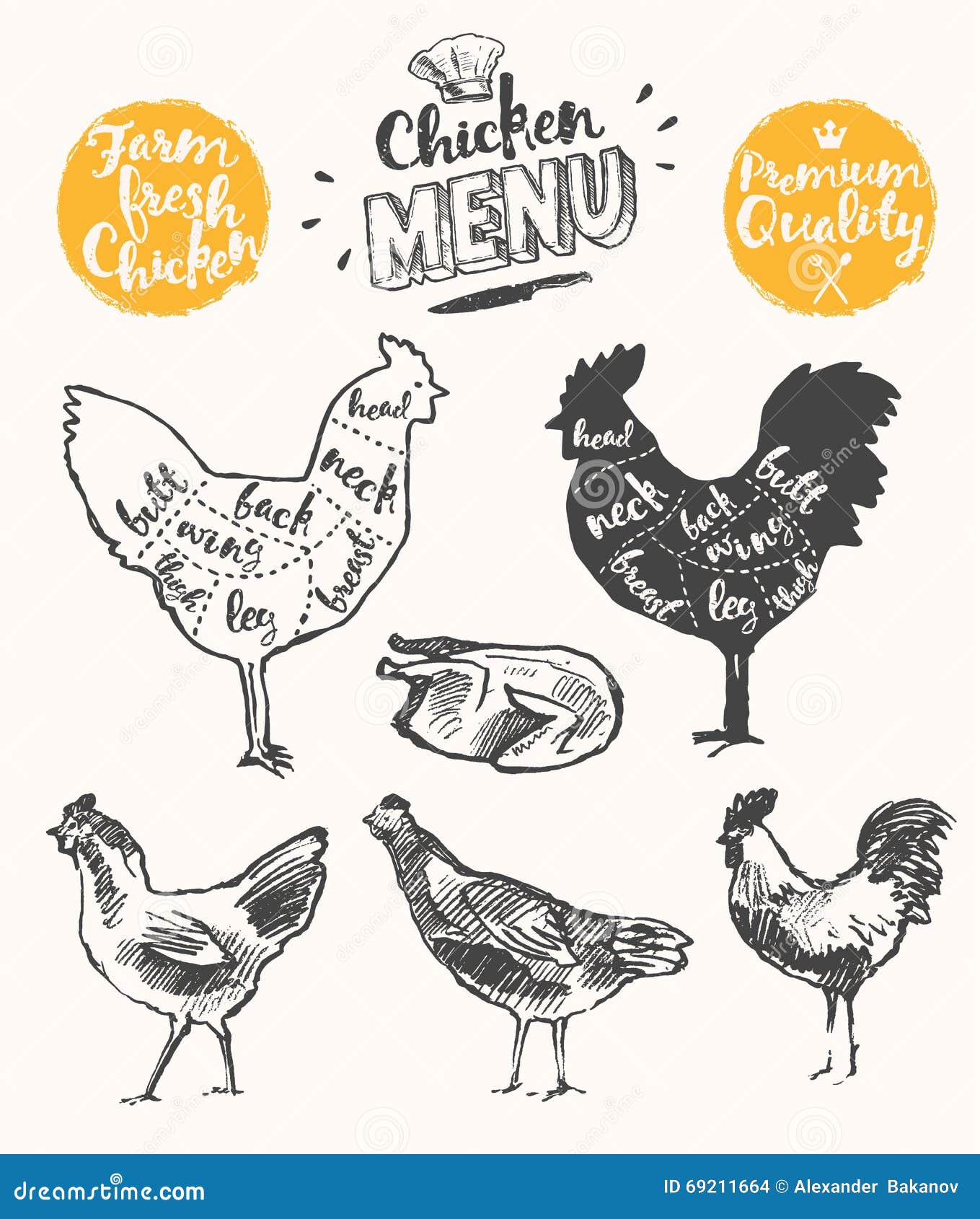 Chicken Cuts Drawn Stock Illustrations – 134 Chicken Cuts Drawn Stock ...