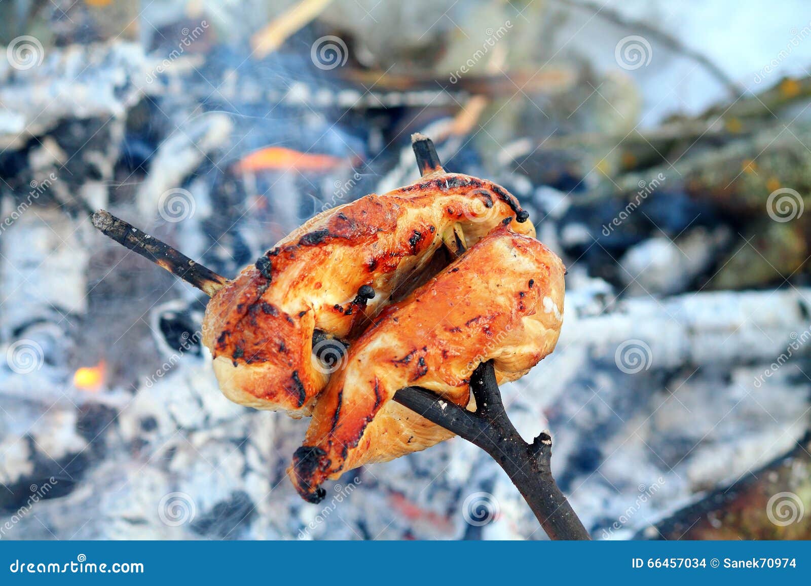 Meat over the fire stock photo. Image of charcoal, fire - 66457034
