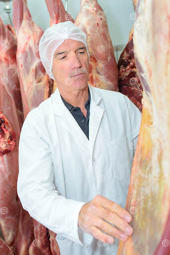 Meat Packer Inspecting Meat Stock Photo - Image of operate, inspector ...