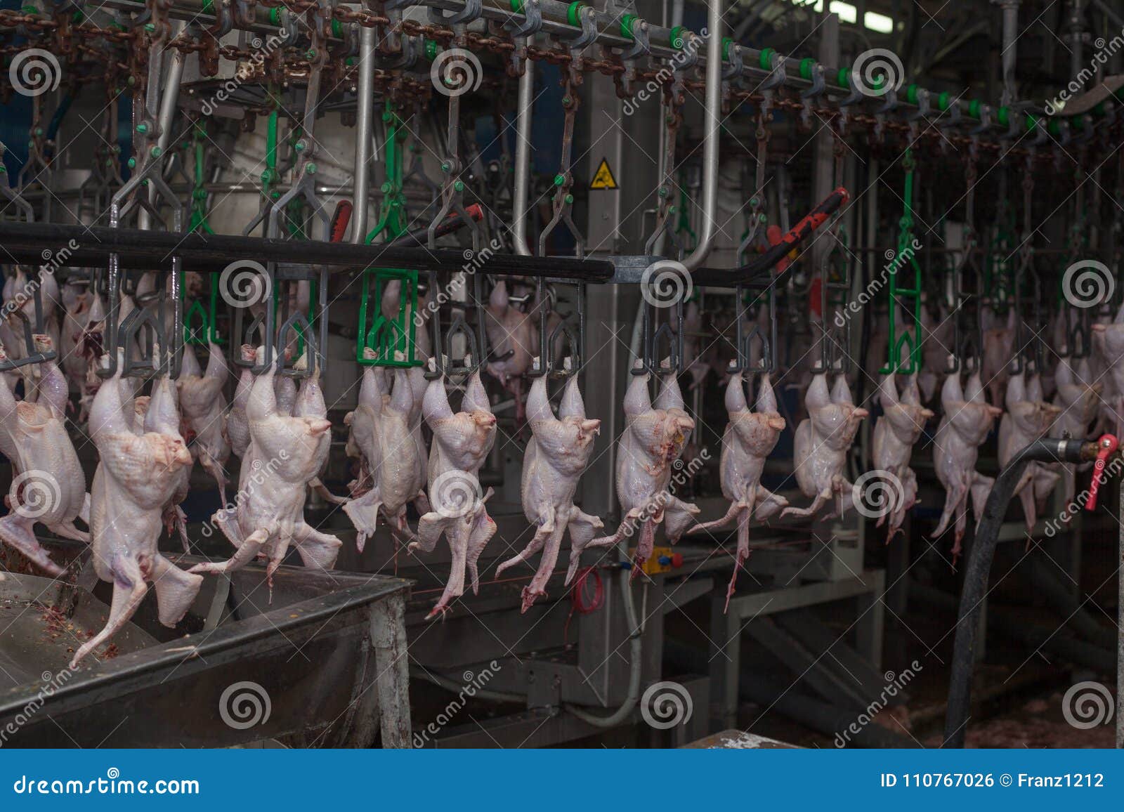 Meat Processing of Chicken Products. Technological Process Stock Photo ...