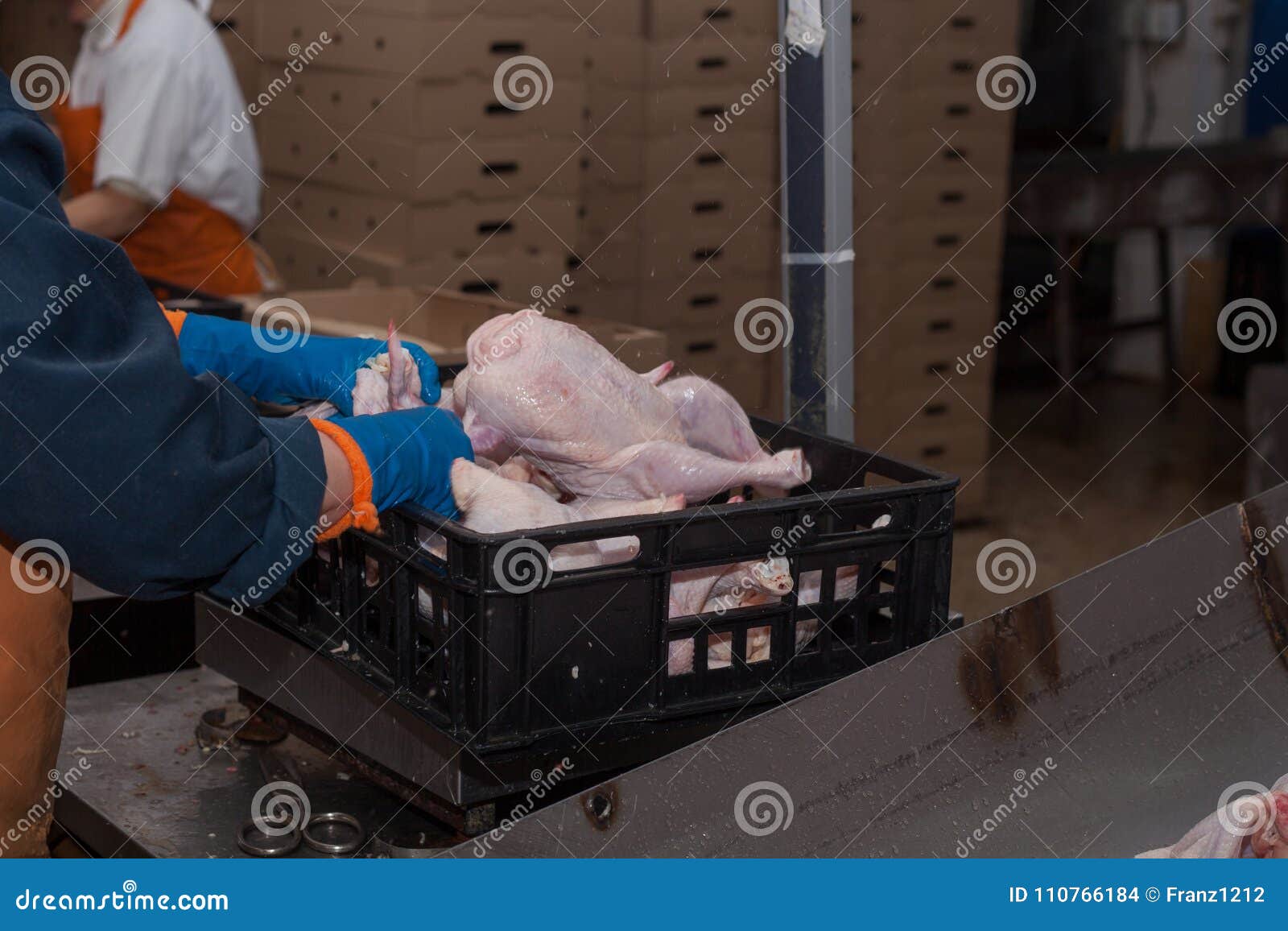 Meat Processing of Chicken Products. Technological Process Stock Photo ...