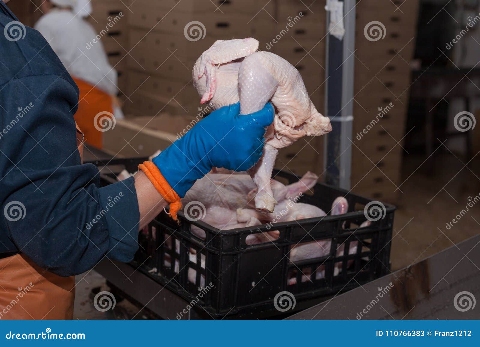 Meat Processing of Chicken Products. Technological Process Stock Image ...