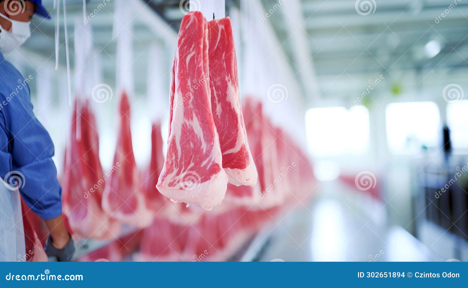 Meat Processing or Quality Control Process in the Food Industry ...