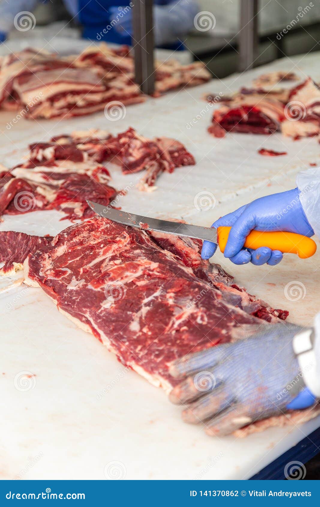 Meat-processing Worker Cuts the Carcass of a Cow. Stock Photo - Image ...