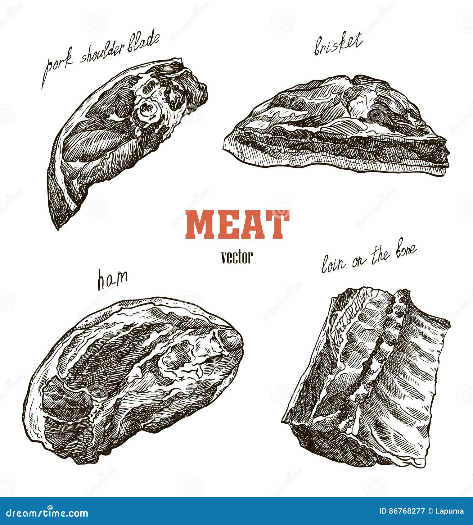 Meat products sketches stock vector. Illustration of healthy - 86768277