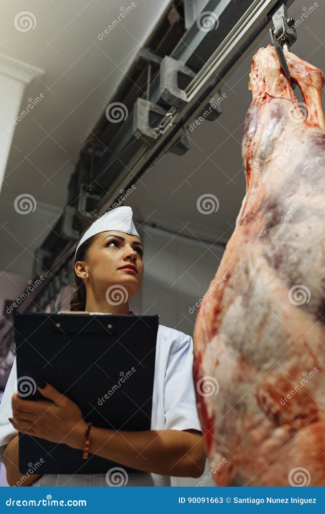 Meat Quality Control in Butchery. Stock Image - Image of checking ...