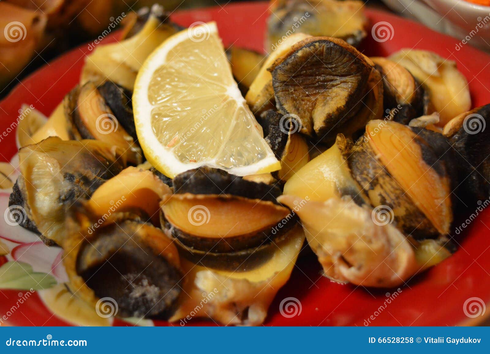 Meat rapan stock photo. Image of plate, rapan, rapana - 66528258