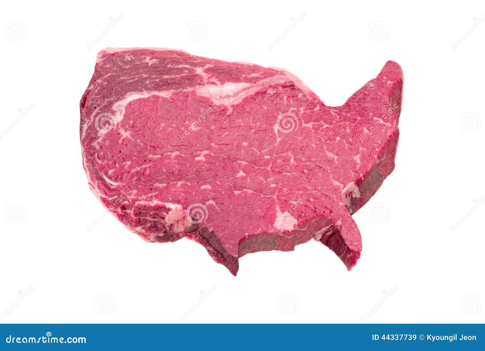 Meat in the shape of U.S stock image. Image of blood - 44337739
