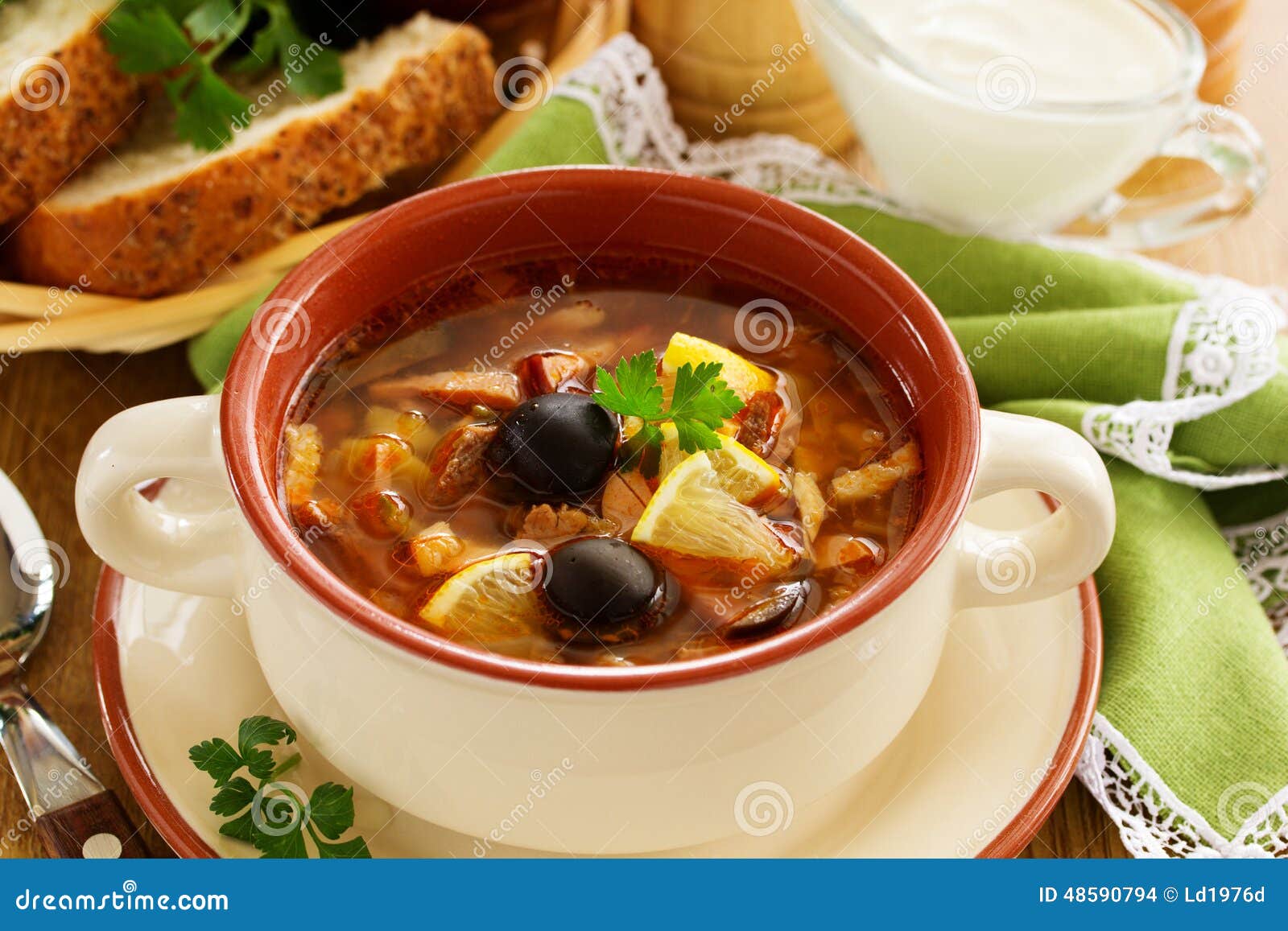 Meat solyanka stock photo. Image of lemon, meat, duck - 48590794